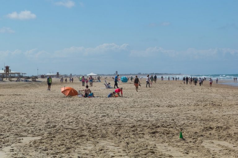 Las 6 mejores playas de Conil que no te puedes perder | conilhome.com